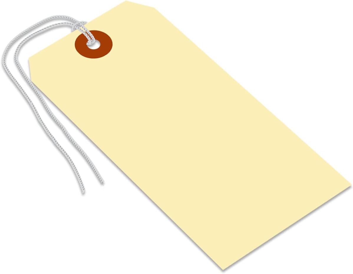 SmartSign Blank Shipping Tags with Pre-Attached Loop Strings, Size-6 ...